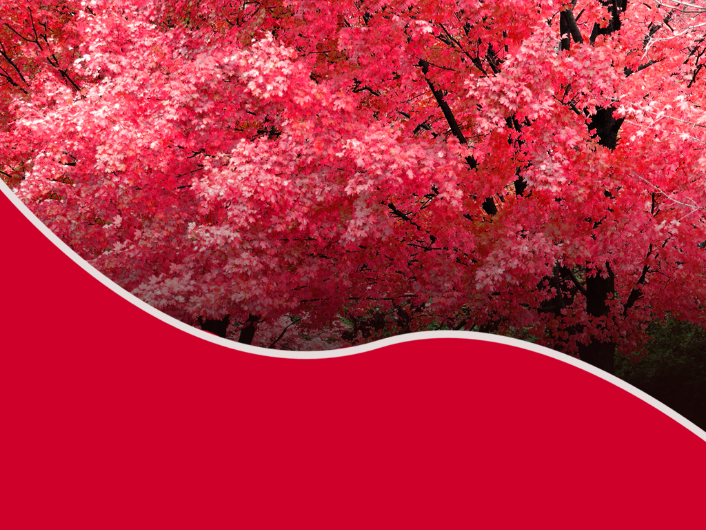 Autumn Design Backgrounds for Powerpoint Templates - PPT Backgrounds
