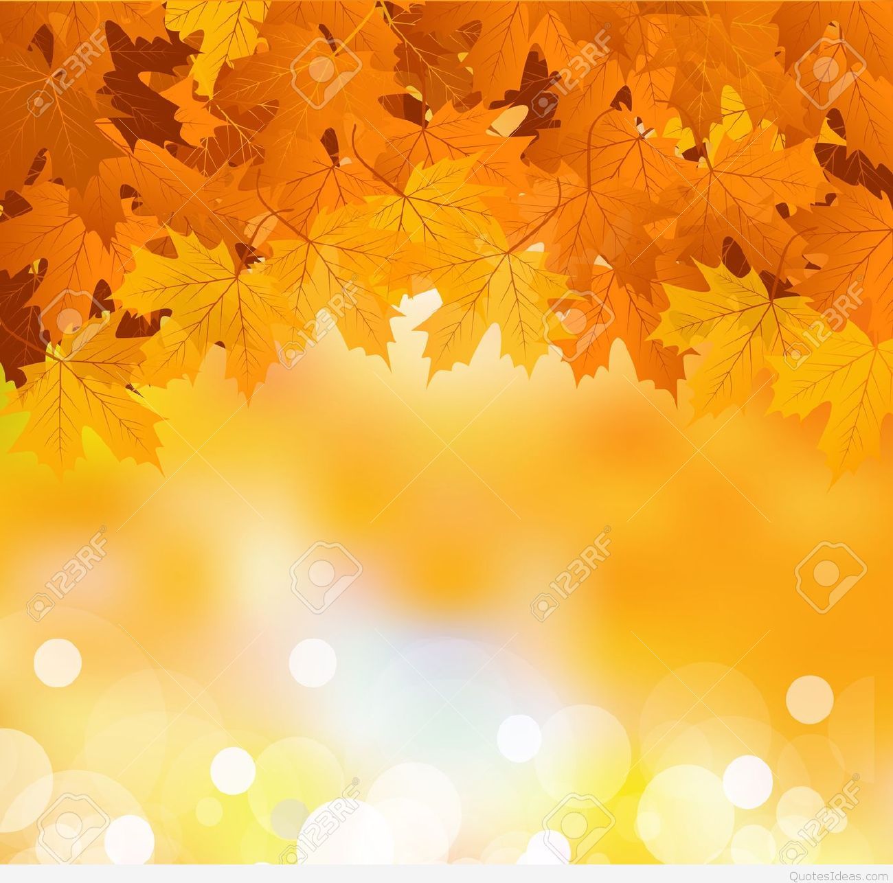 Autumn Leaves Photo Backgrounds for Powerpoint Templates - PPT Backgrounds
