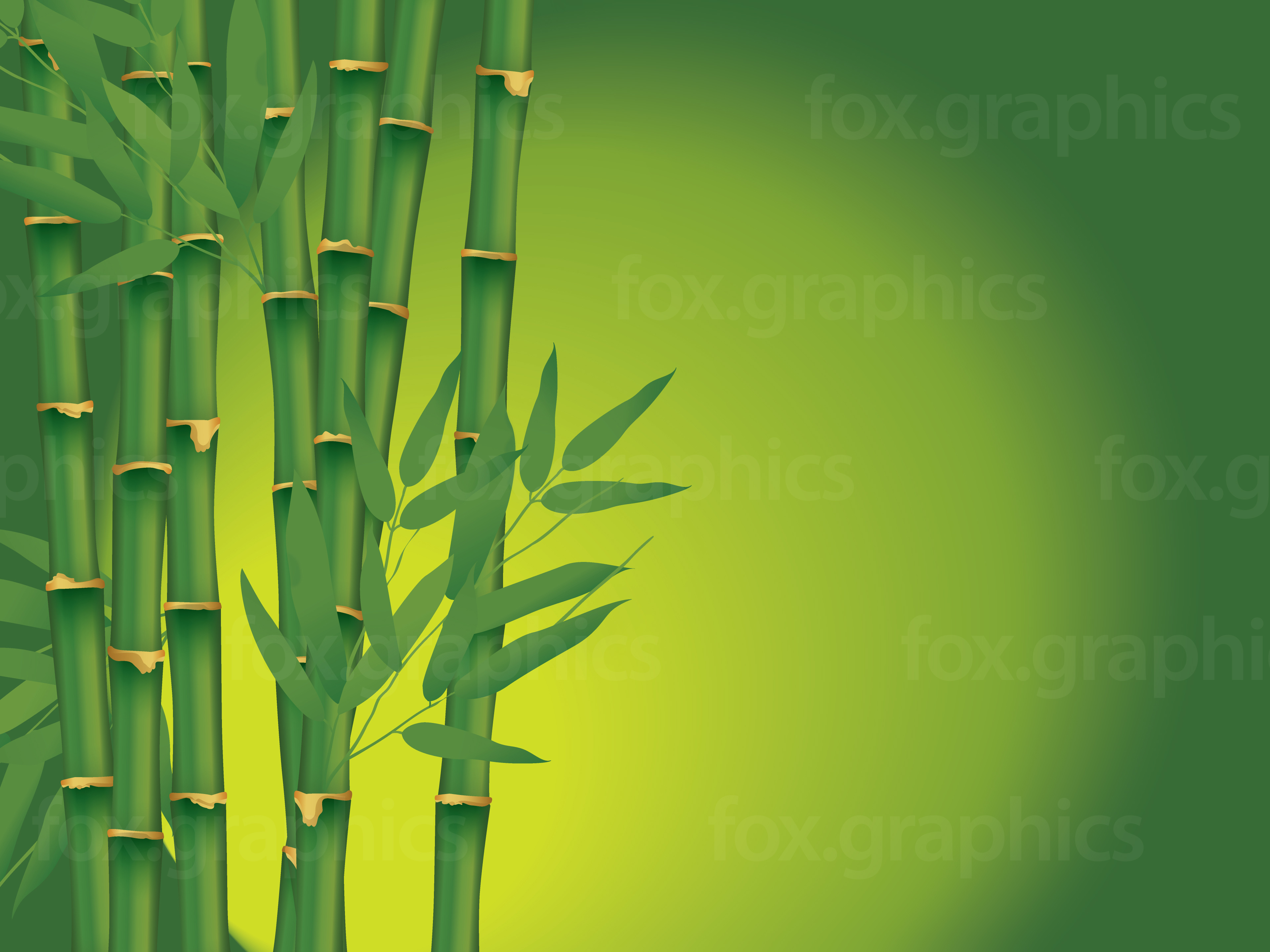 Bamboo Frame Backgrounds for Powerpoint Templates - PPT Backgrounds