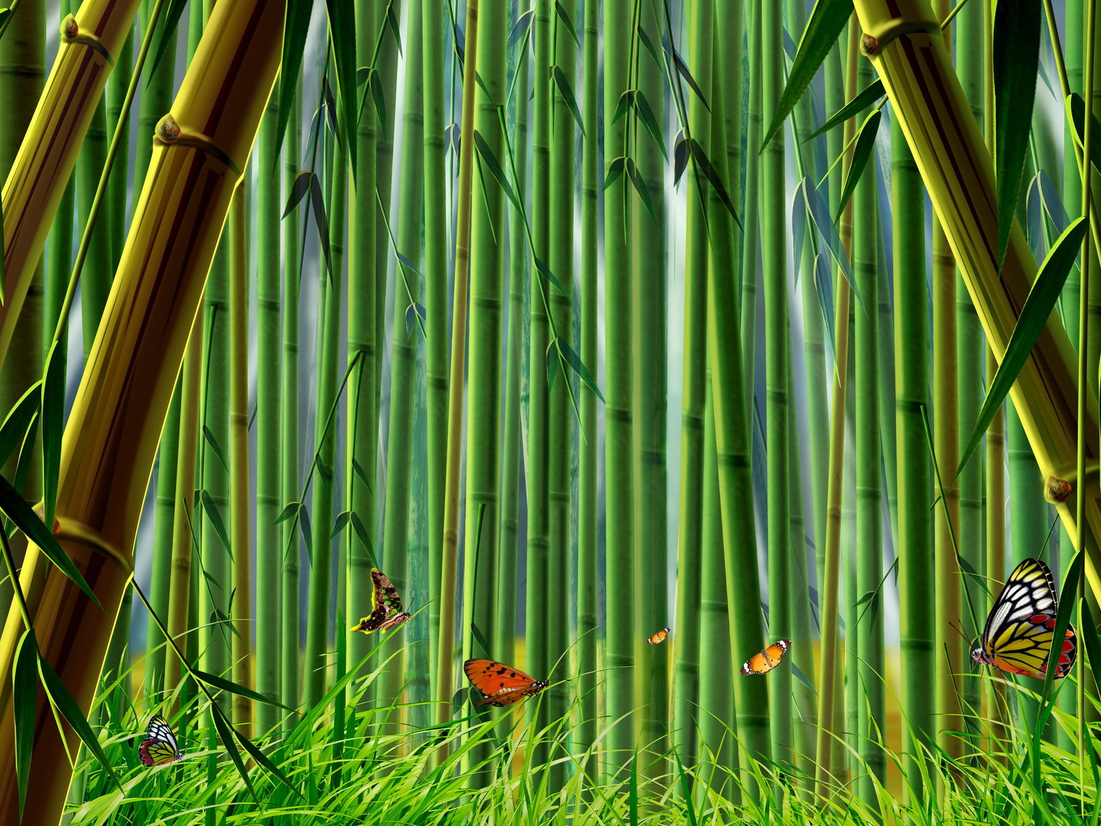 Bamboo Presentation Backgrounds for Powerpoint Templates - PPT Backgrounds