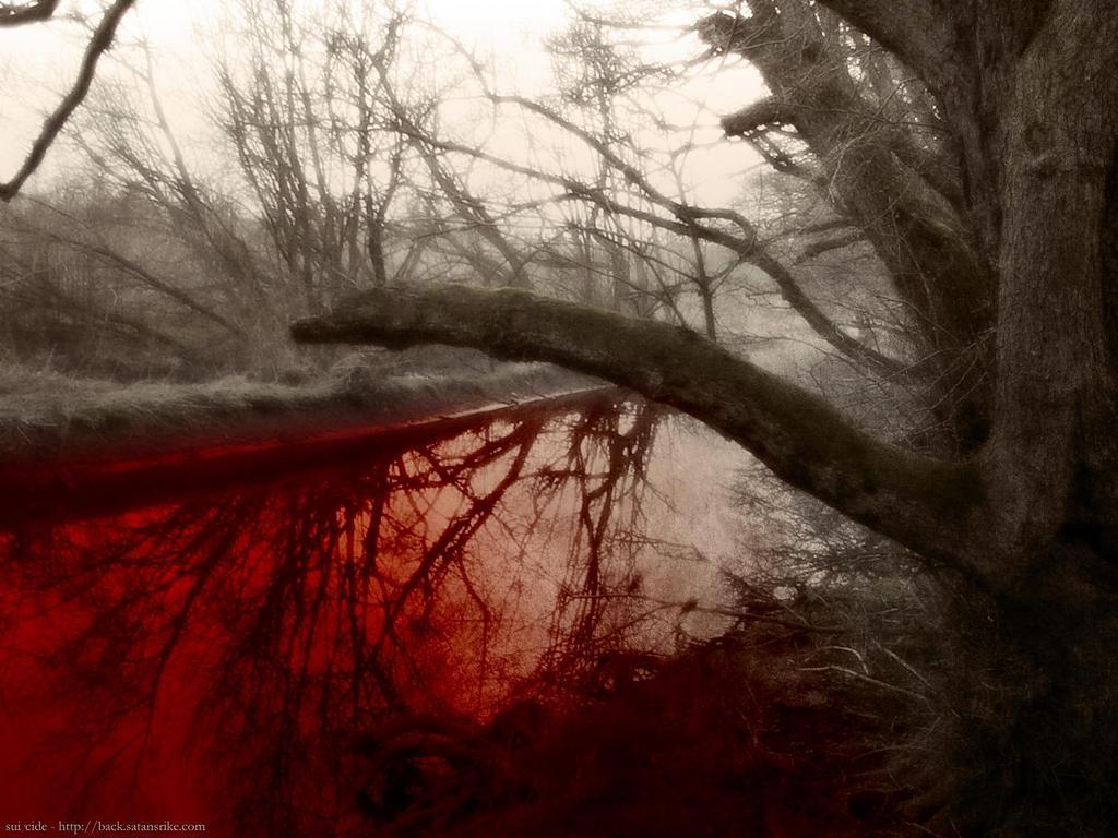 Bloody Tree Frame Backgrounds for Powerpoint Templates - PPT Backgrounds