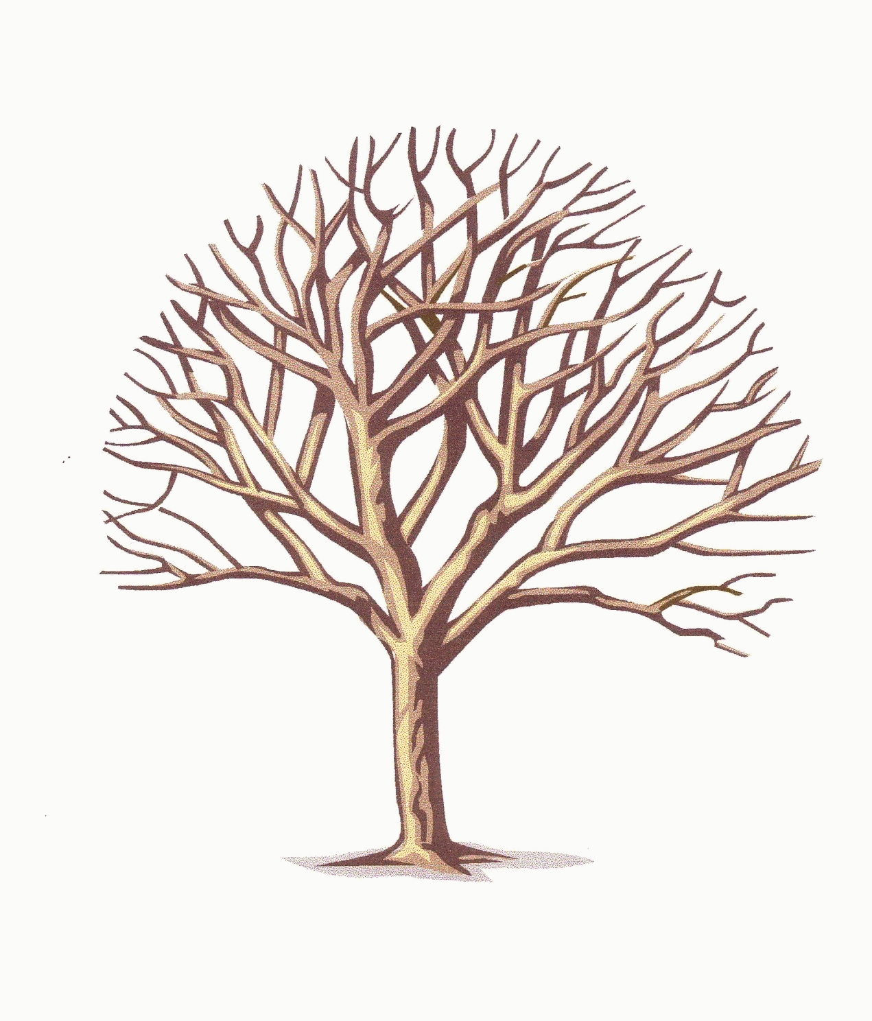 Branches Clipart Backgrounds for Powerpoint Templates - PPT Backgrounds