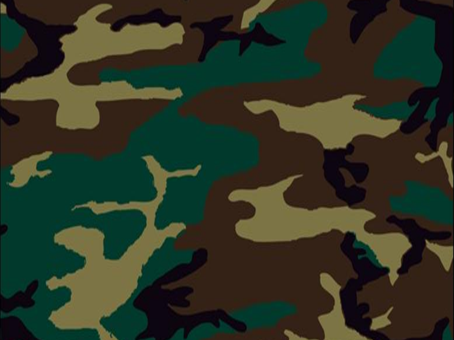 Camouflage Cave Slides Backgrounds for Powerpoint Templates - PPT ...