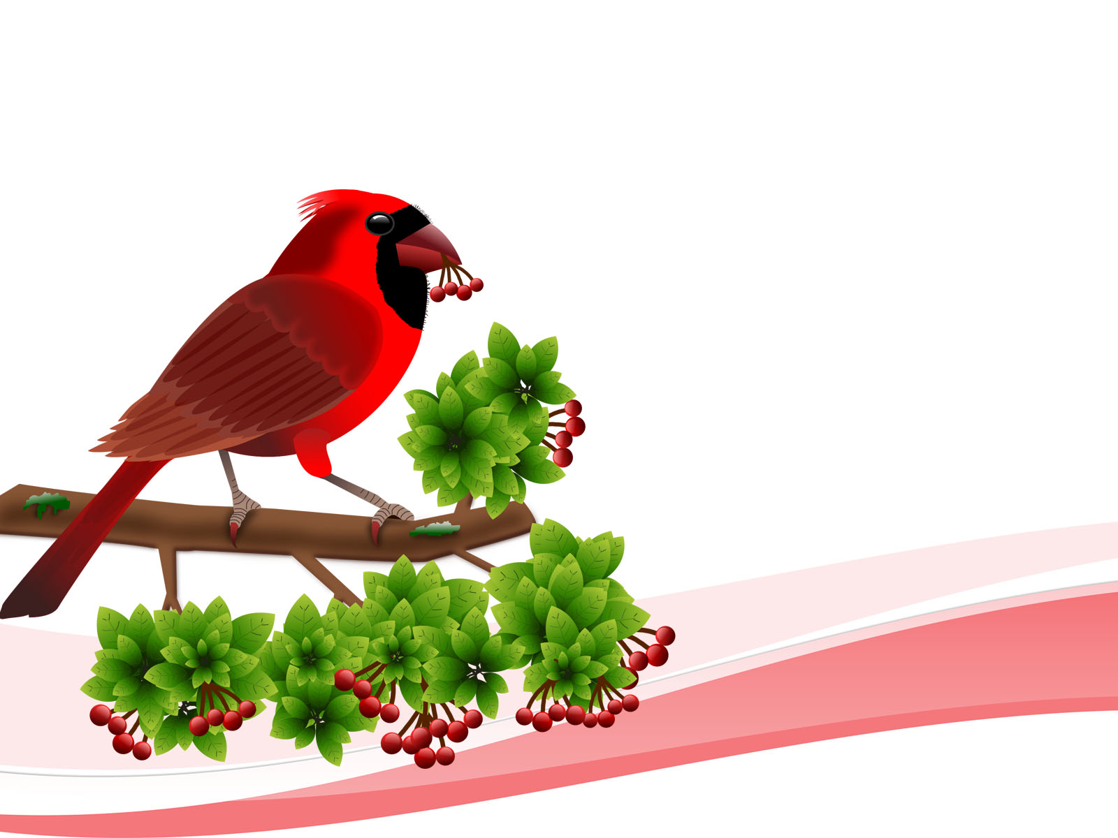 Cardinal Birds Backgrounds for Powerpoint Templates - PPT Backgrounds