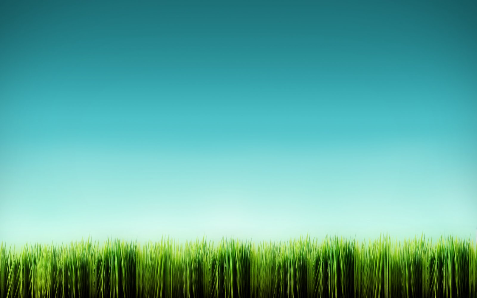 Cartoon Grass Cartoon Picture Backgrounds for Powerpoint Templates ...
