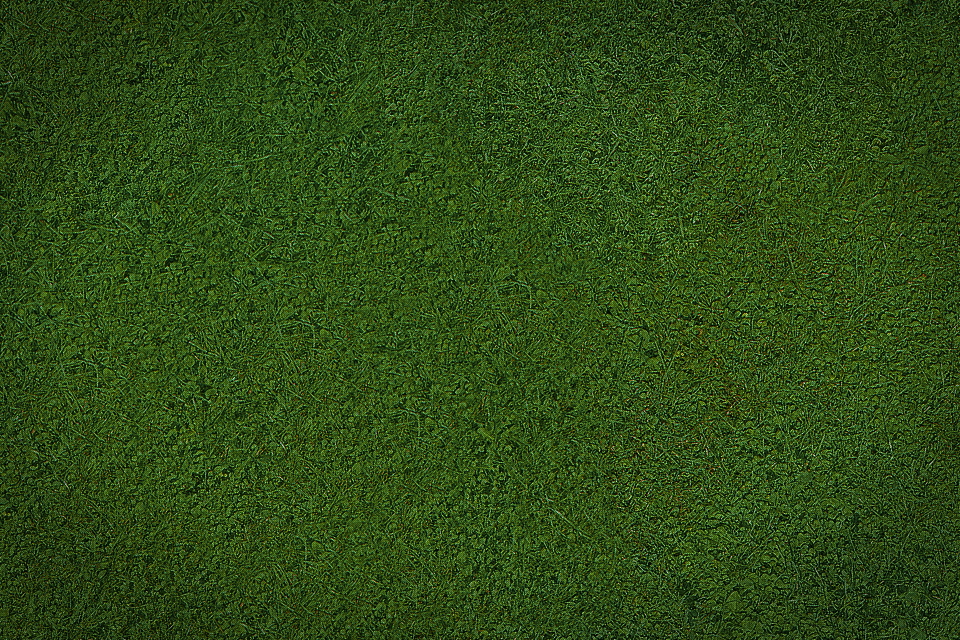 Cartoon Grass Image Search Results image Backgrounds for Powerpoint ...