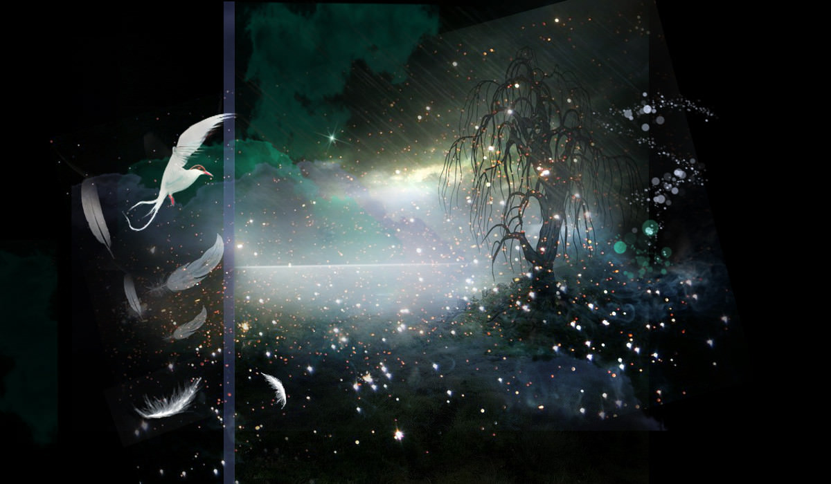 Dark Flower Magical Wallpaper Backgrounds for Powerpoint Templates ...