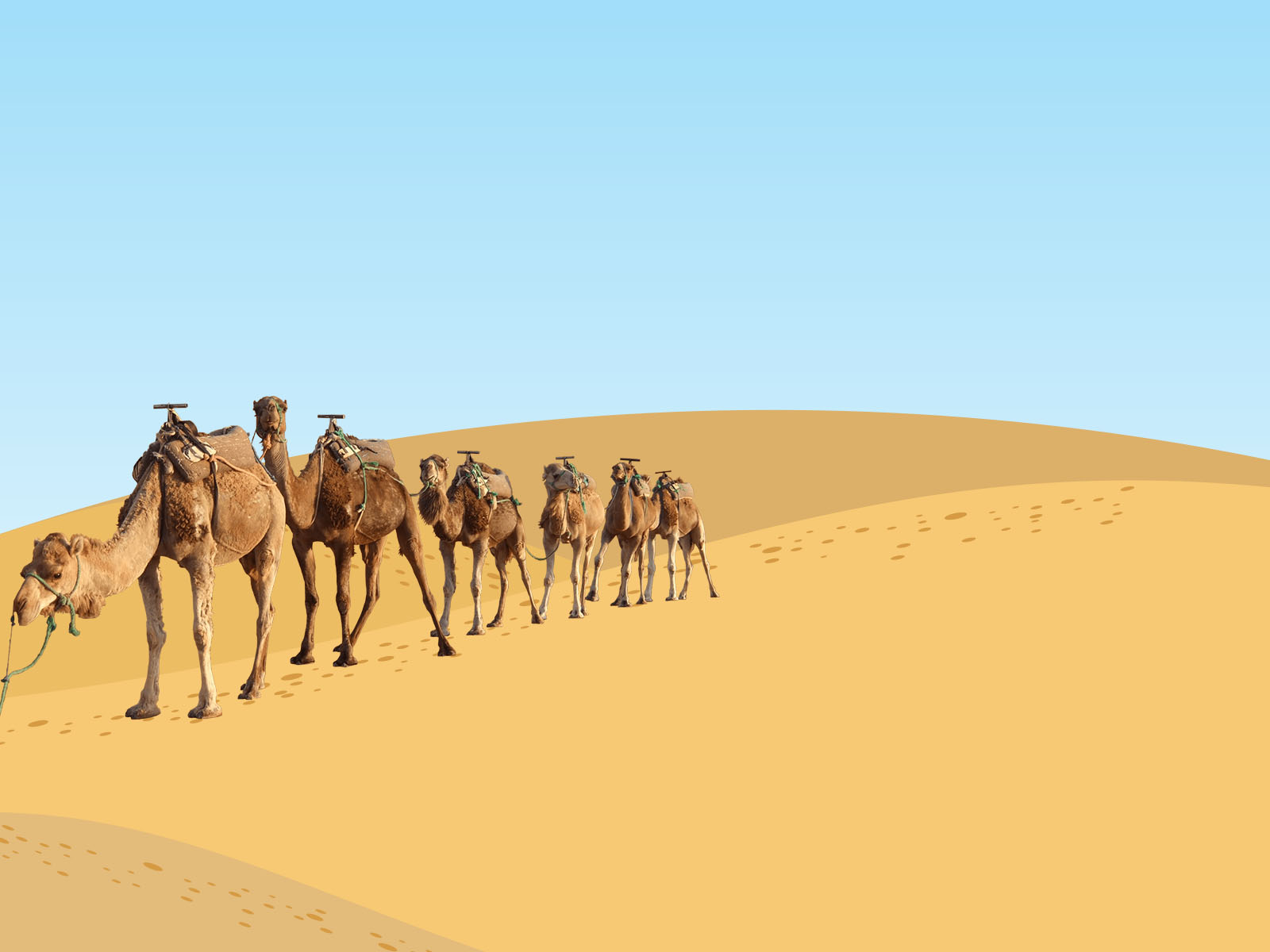 Desert Camels Backgrounds for Powerpoint Templates - PPT Backgrounds