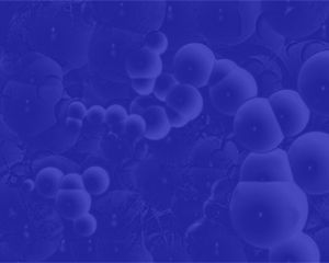 Display Feb K Themed Template Templates For Download Backgrounds for ...