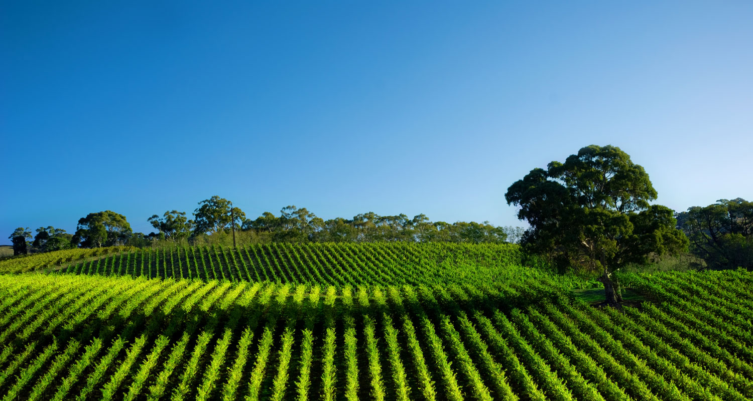 Farm Field Art Backgrounds for Powerpoint Templates - PPT Backgrounds