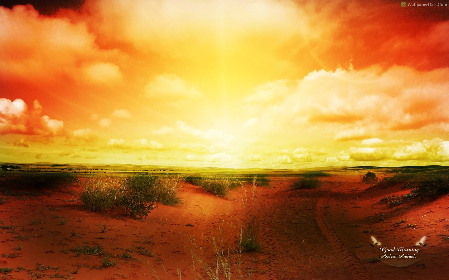 Good Morning Quality Backgrounds for Powerpoint Templates - PPT Backgrounds