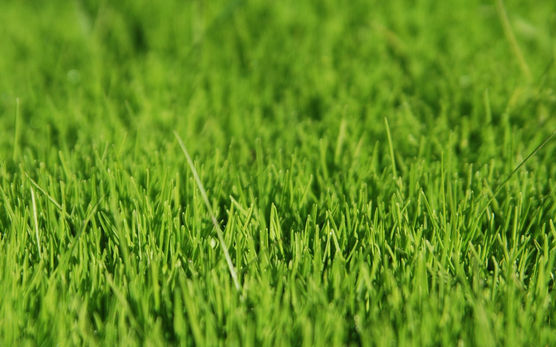 Grass Computers Desktop 1920x1200 ID52737 Clip Art Backgrounds for ...