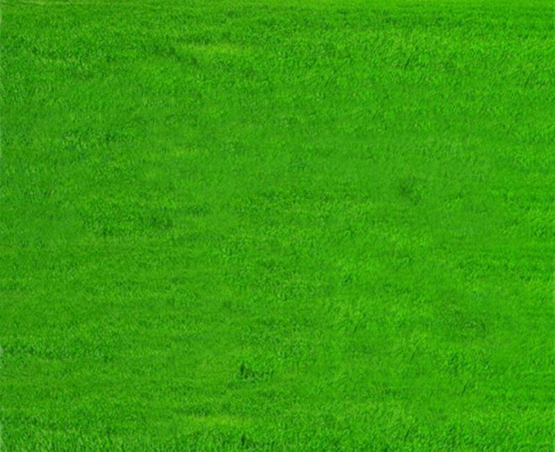 Grass Grass Frame Backgrounds for Powerpoint Templates - PPT Backgrounds