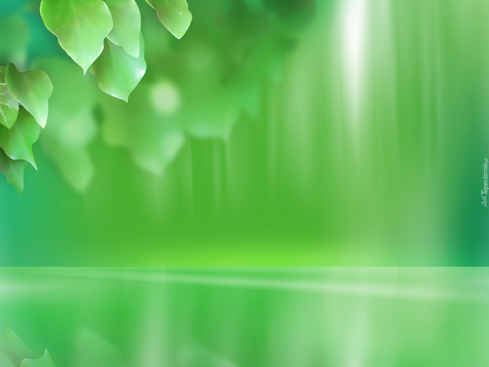 Green Graphic Frame Backgrounds for Powerpoint Templates - PPT Backgrounds