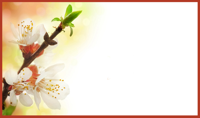 Invitation Slides Backgrounds for Powerpoint Templates - PPT Backgrounds