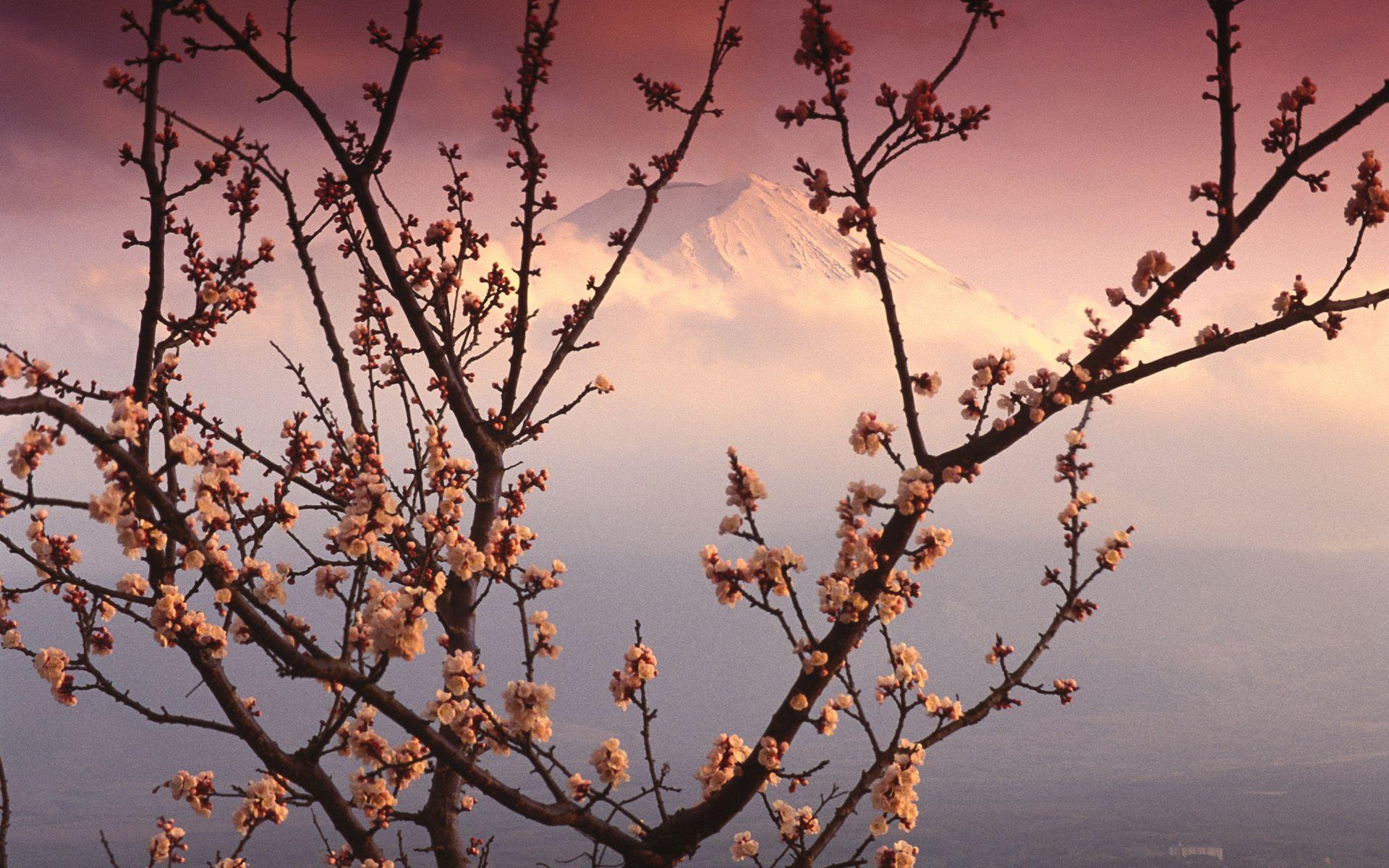 Japanese Desktop Design Backgrounds for Powerpoint Templates - PPT ...