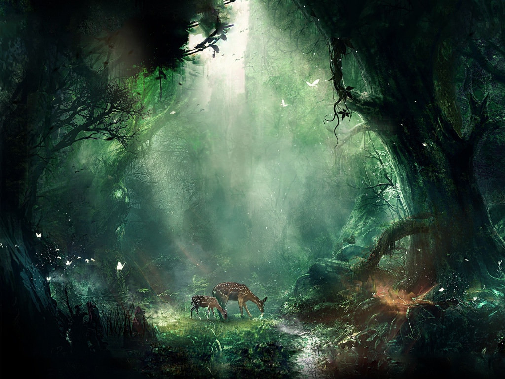 Magical Picture Backgrounds for Powerpoint Templates - PPT Backgrounds