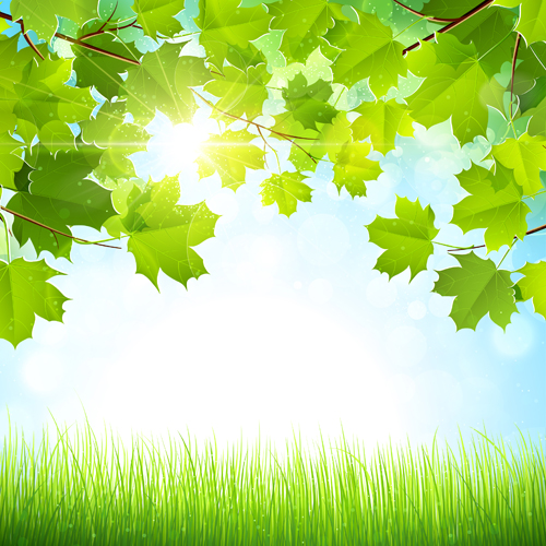 Nature Frame Backgrounds for Powerpoint Templates - PPT Backgrounds