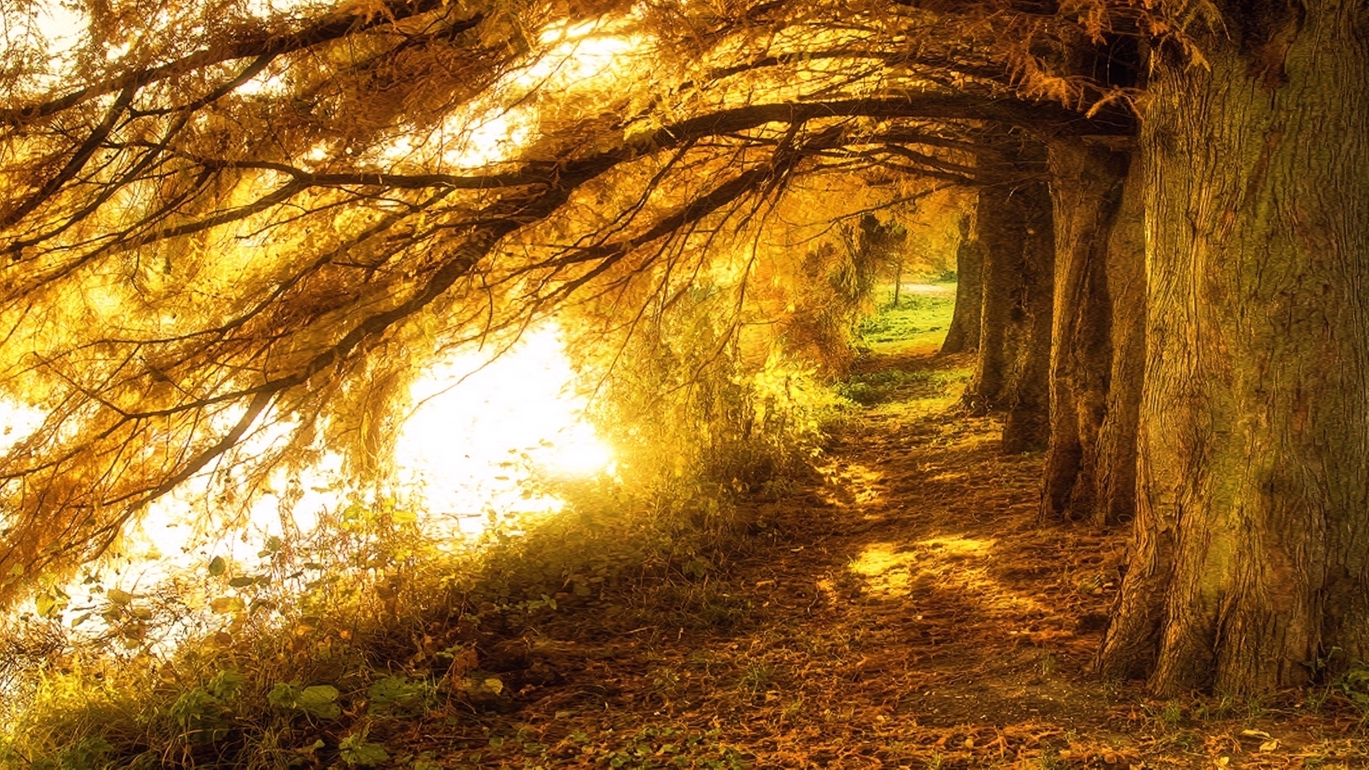 Nature Photography Backgrounds for Powerpoint Templates - PPT Backgrounds