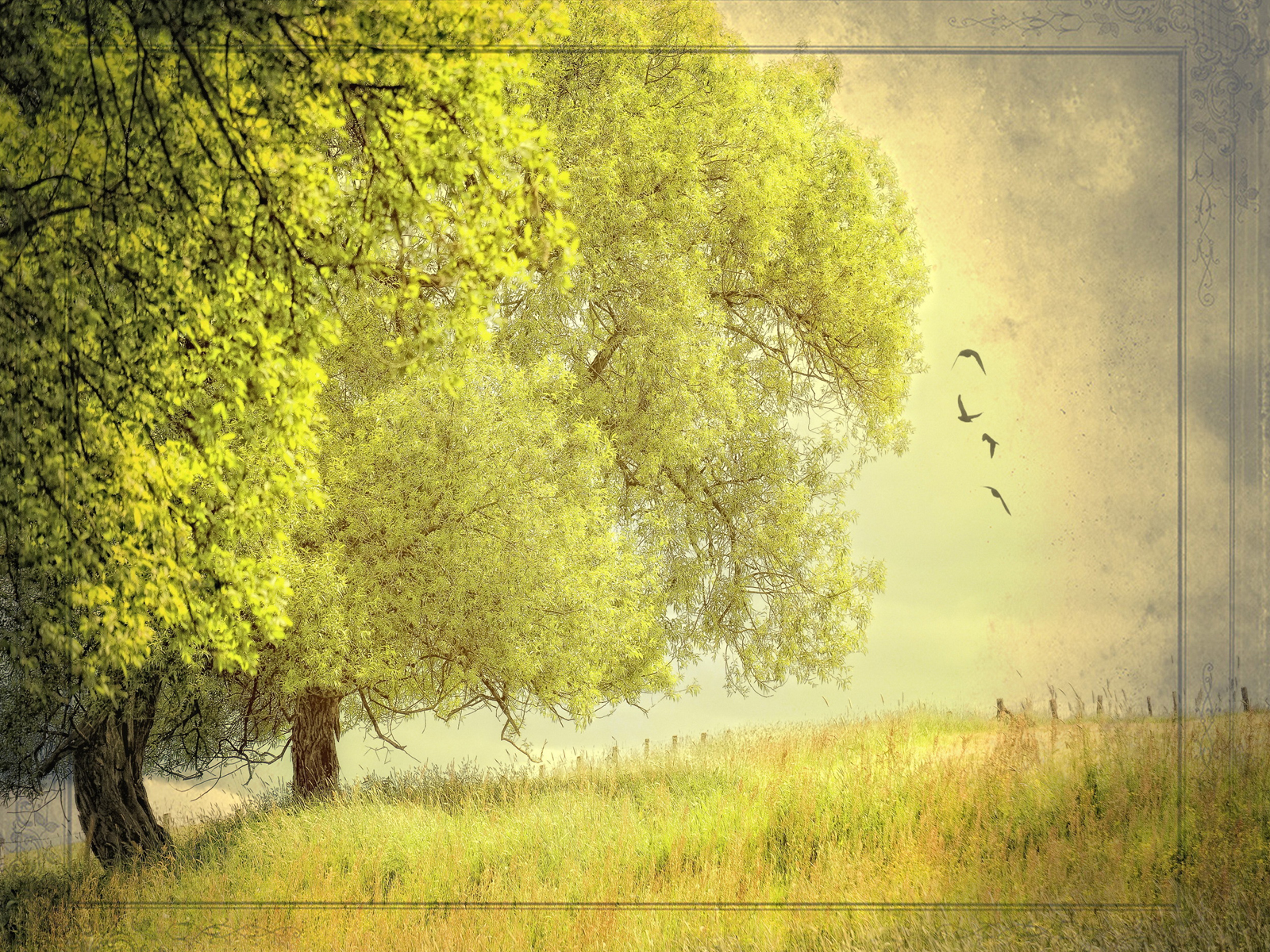 Nature Quality Backgrounds for Powerpoint Templates - PPT Backgrounds