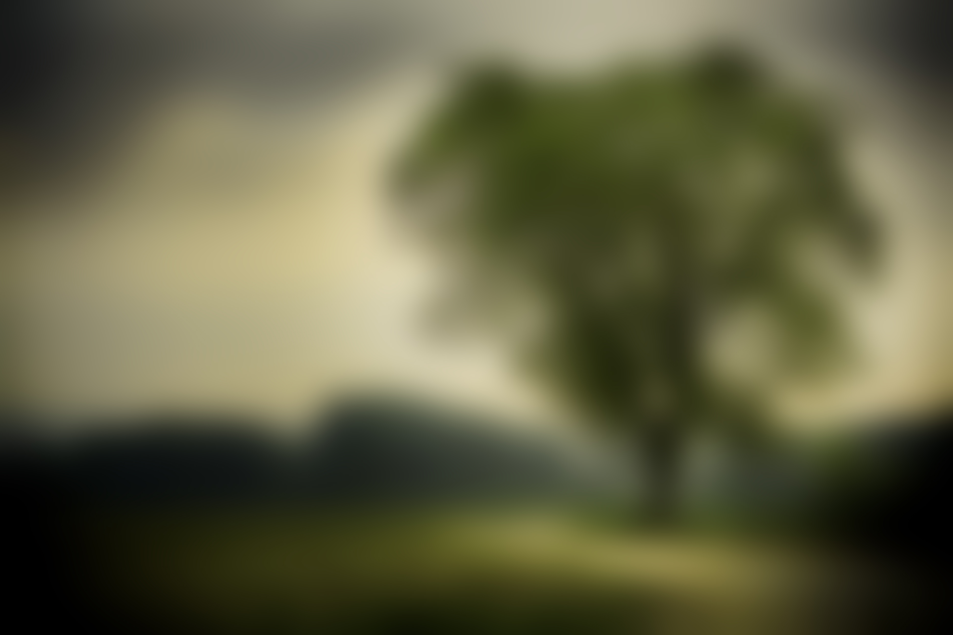 Nature Tree Blurry Graphic Backgrounds for Powerpoint Templates - PPT ...