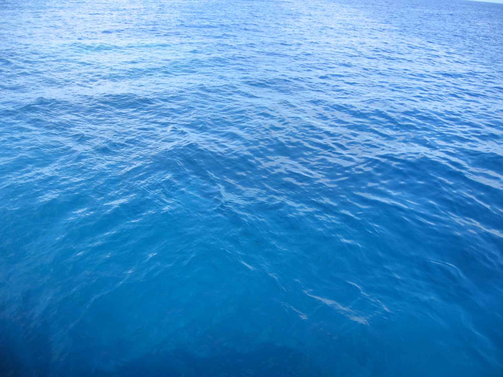 Ocean Download Backgrounds for Powerpoint Templates - PPT Backgrounds