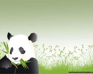 Panda Animal Presentations image Backgrounds for Powerpoint Templates ...