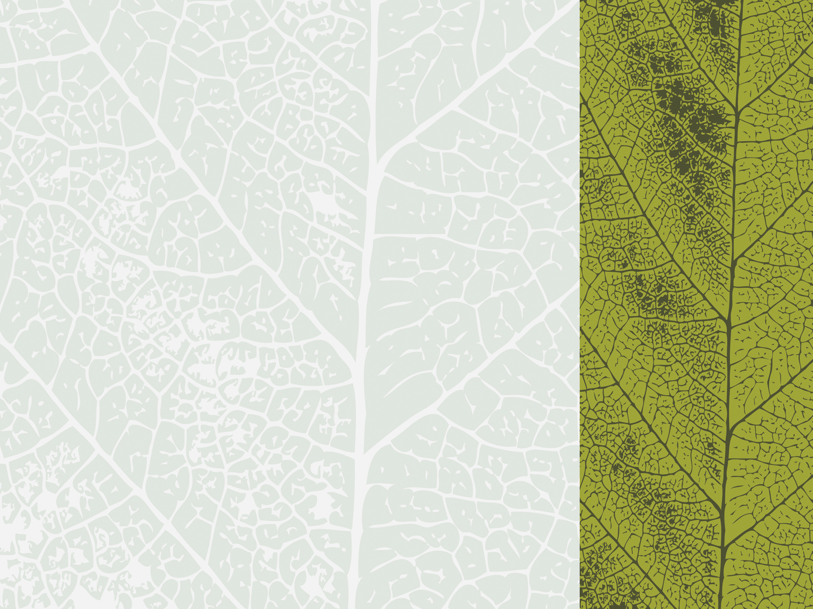 Photos Green Presentation Slide Frame Backgrounds for Powerpoint ...