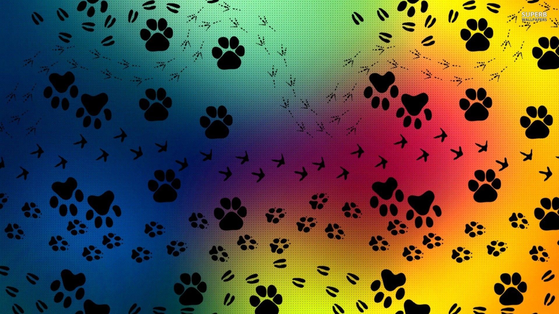 Pics Photos Paw Print Paw Prints Pattern Picture Backgrounds for ...