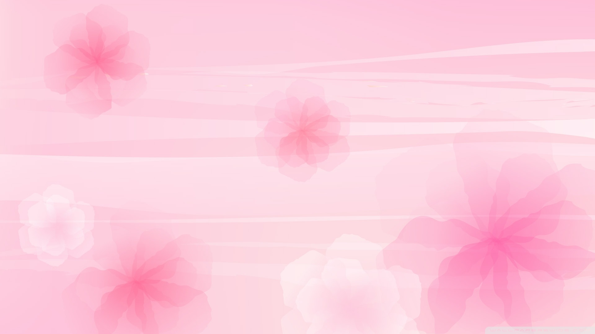 Pink Backgrounds for Powerpoint Templates - PPT Backgrounds