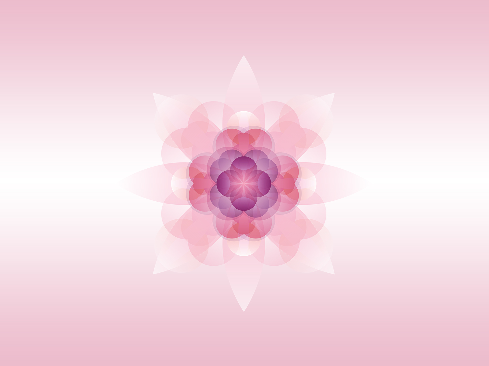 Pink Flowers Flowers Pink Presentation Backgrounds for Powerpoint ...