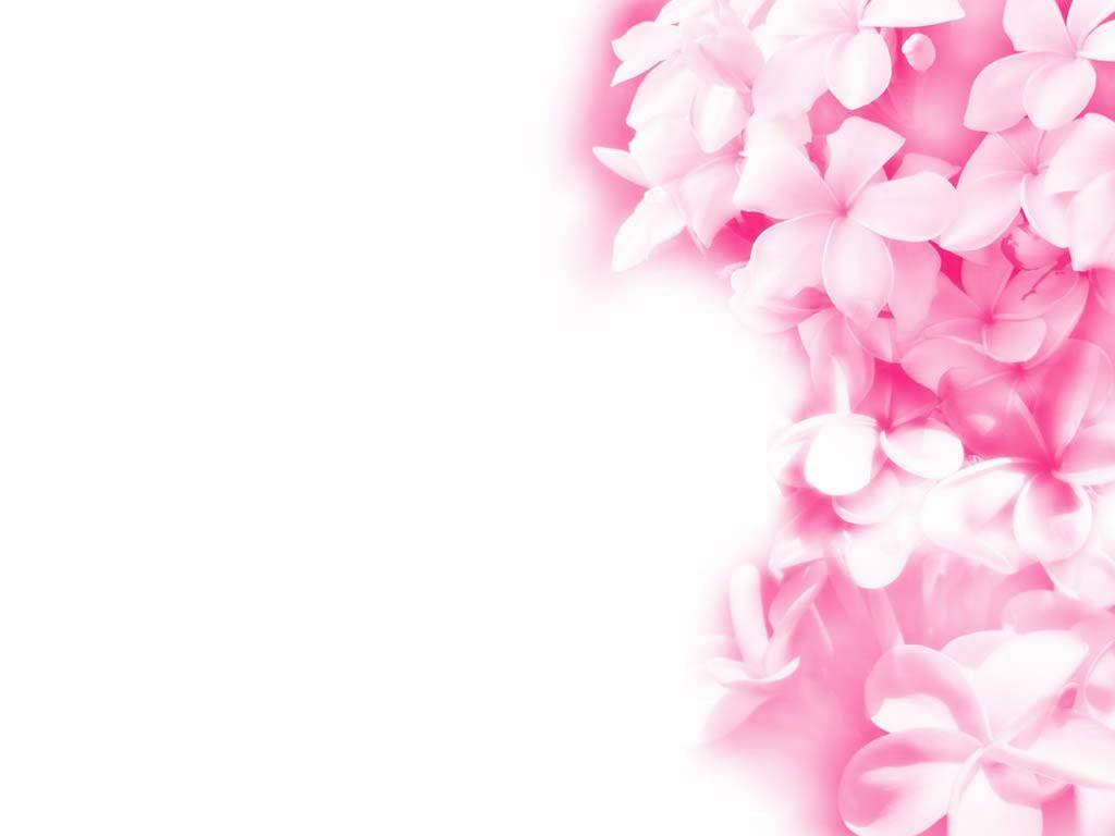 Pink Flowers Clipart Backgrounds for Powerpoint Templates - PPT Backgrounds