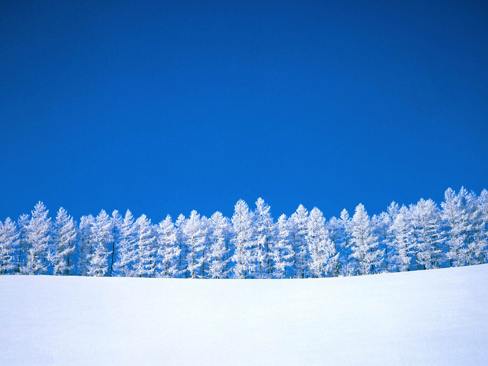 Snow image Backgrounds for Powerpoint Templates - PPT Backgrounds