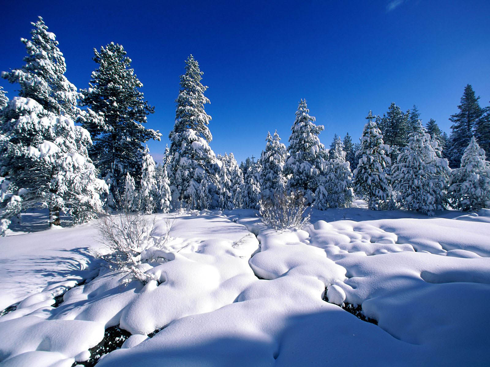 Snow Template Clipart Backgrounds for Powerpoint Templates - PPT ...