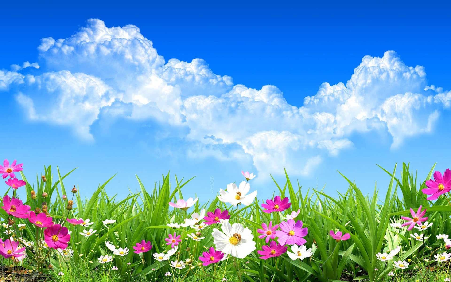 Spring Design Backgrounds for Powerpoint Templates - PPT Backgrounds