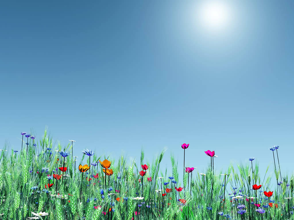 Spring Frame Backgrounds for Powerpoint Templates - PPT Backgrounds
