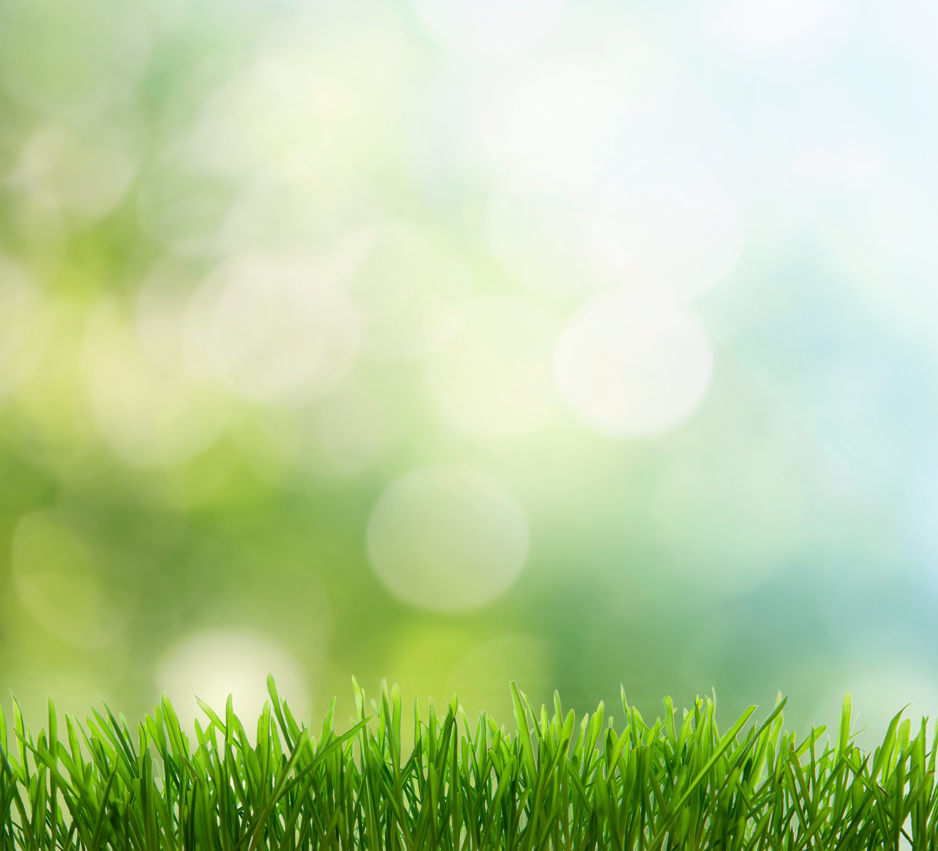 Springs Photo Backgrounds for Powerpoint Templates - PPT Backgrounds