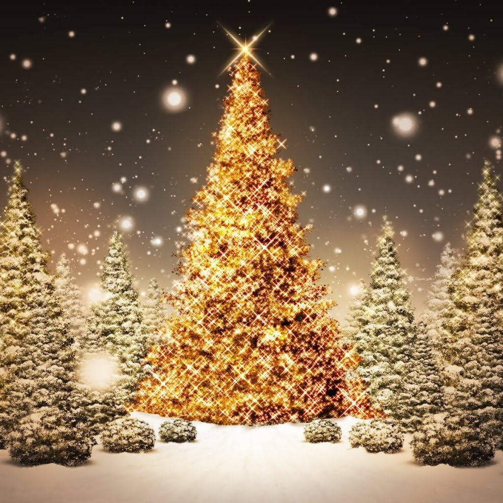 Tree Nature Christmas Tree Nature Christmas Tree Backgrounds for ...