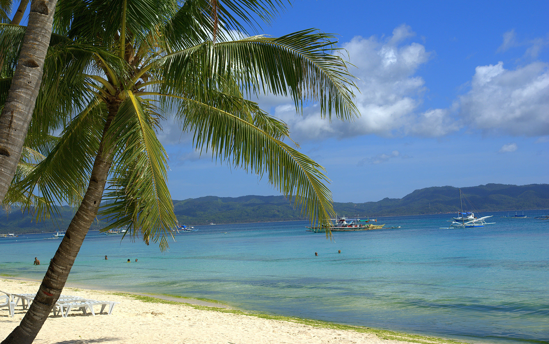 Tropical Picture Backgrounds for Powerpoint Templates - PPT Backgrounds