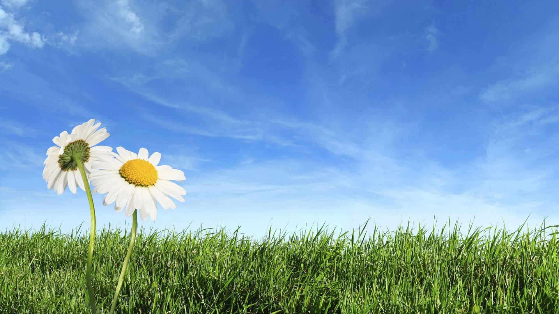 Wallpapers Spring Nature Wallpaper Backgrounds for Powerpoint Templates ...