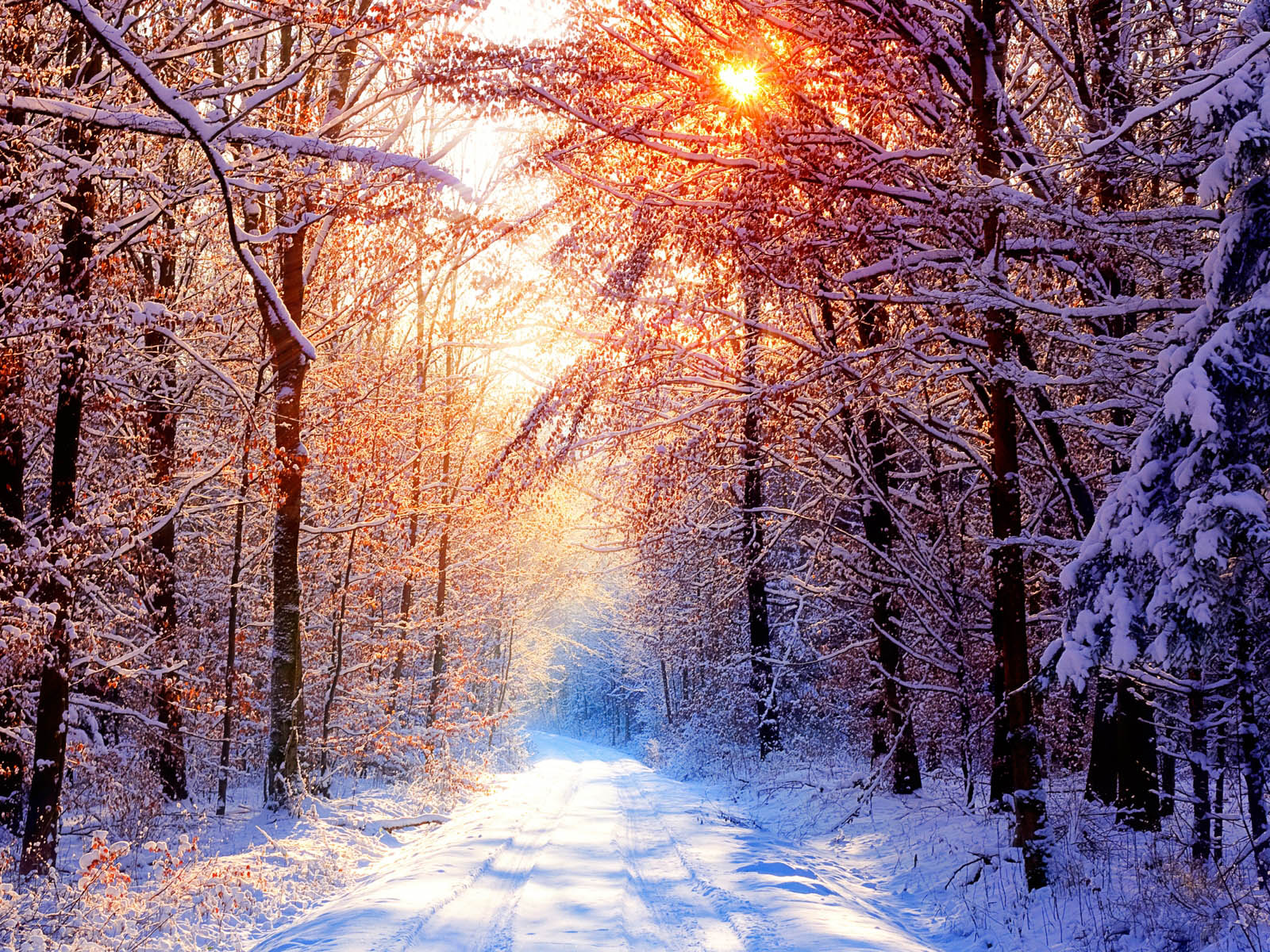 Wallpapers Winter Desktops Backgrounds for Powerpoint Templates - PPT ...
