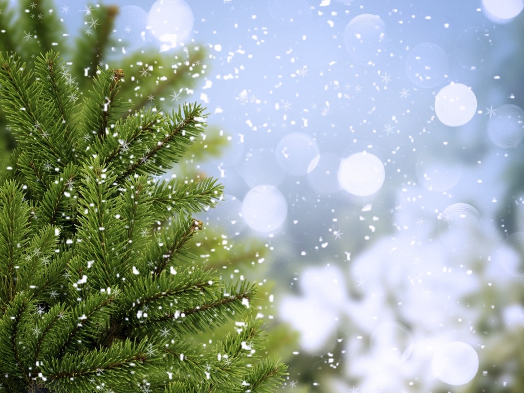 Winter image Backgrounds for Powerpoint Templates - PPT Backgrounds