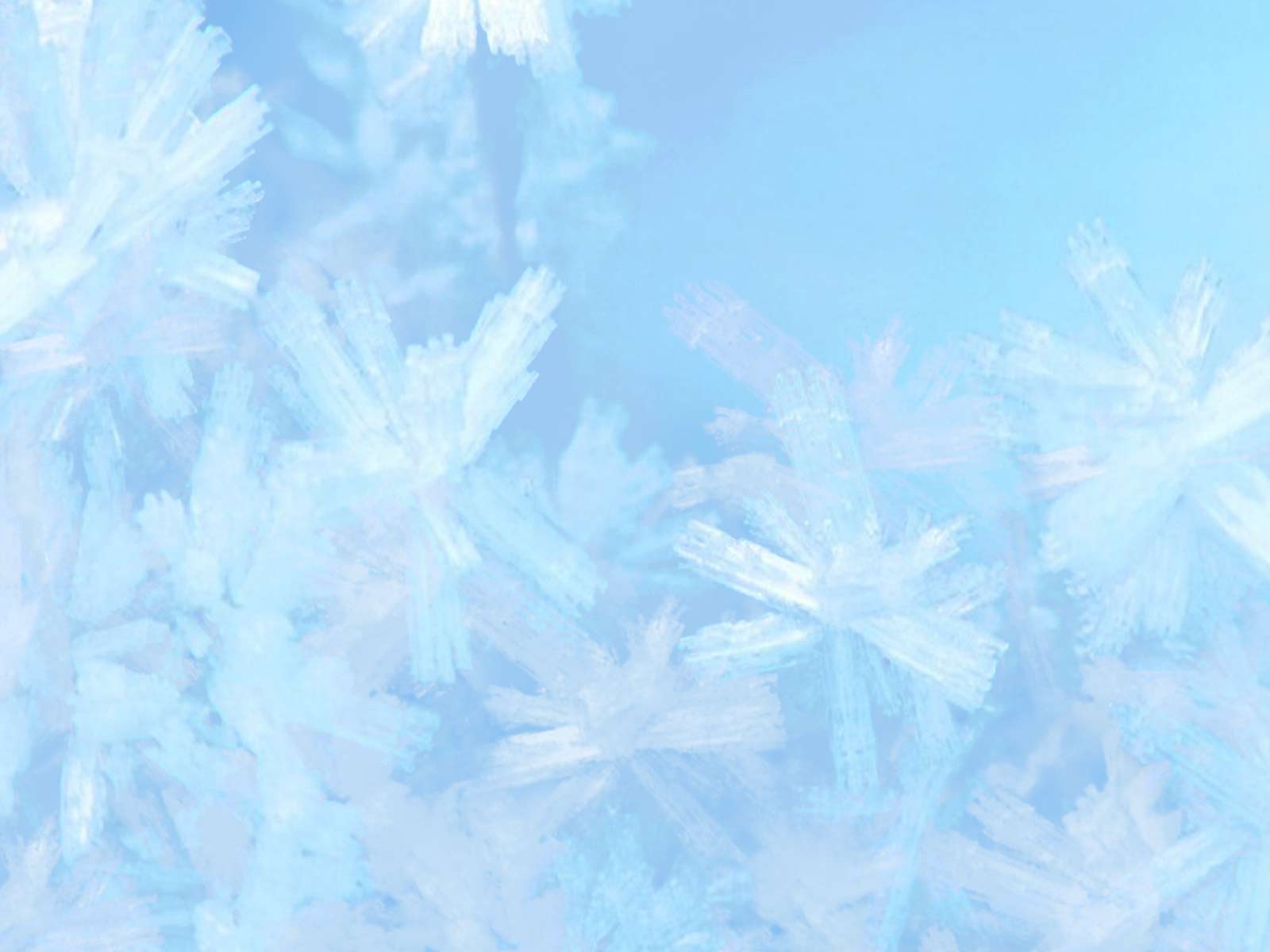 Winter Picture Backgrounds for Powerpoint Templates - PPT Backgrounds