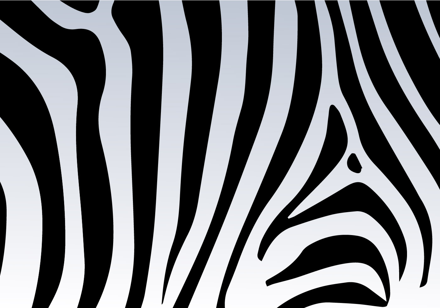 Zebra Print Vector Free Vector Art Stock Clip Art Backgrounds for ...