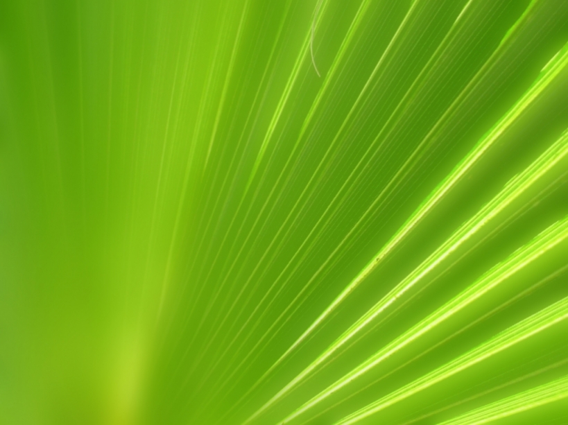 Light Color Wallpaper Backgrounds for Powerpoint Templates - PPT ...